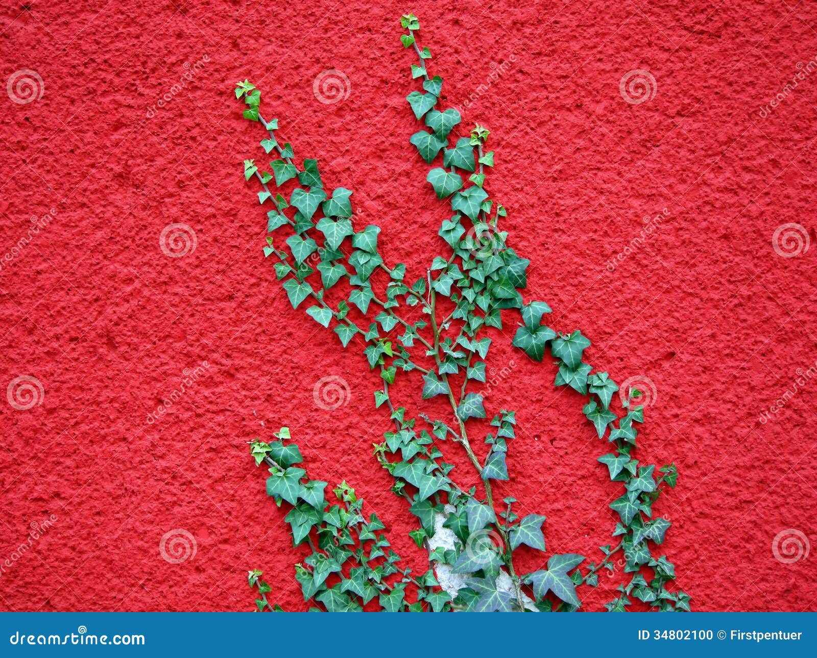 Red Decorative Plaster with Green Viny Plants Stock Photo - Image of ...