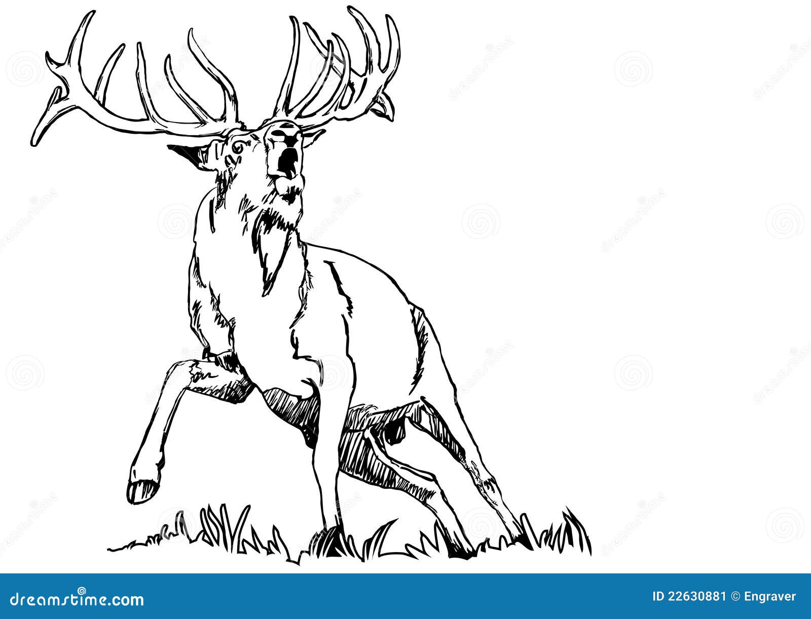 Red Stag Drawing Sketch Coloring Page