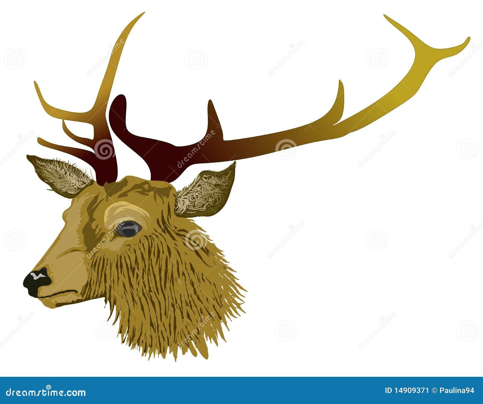 Red Deer Stag Head Roaring Drawing Vector Illustration | CartoonDealer ...
