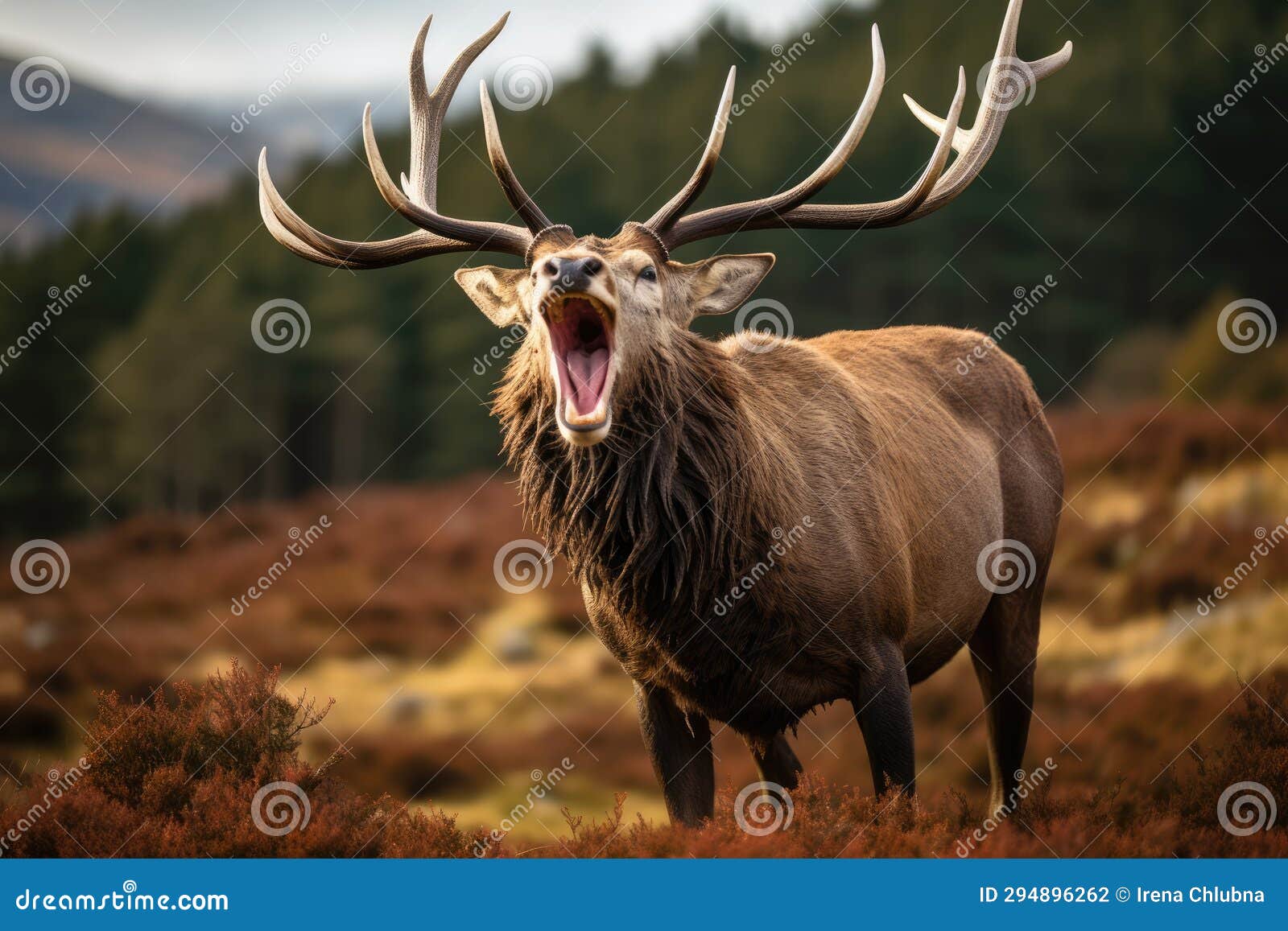 Red Deer Stag Roaring in the Forest. Generative AI Stock Illustration ...