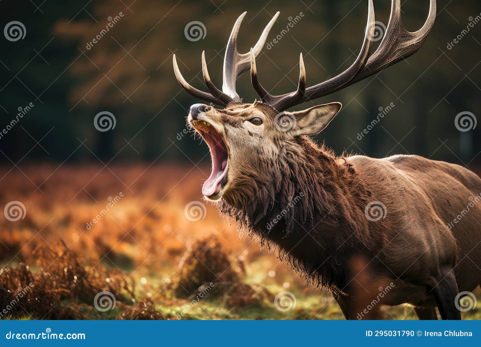 Red Deer Stag Roaring in the Forest. Generative AI Stock Photo - Image ...