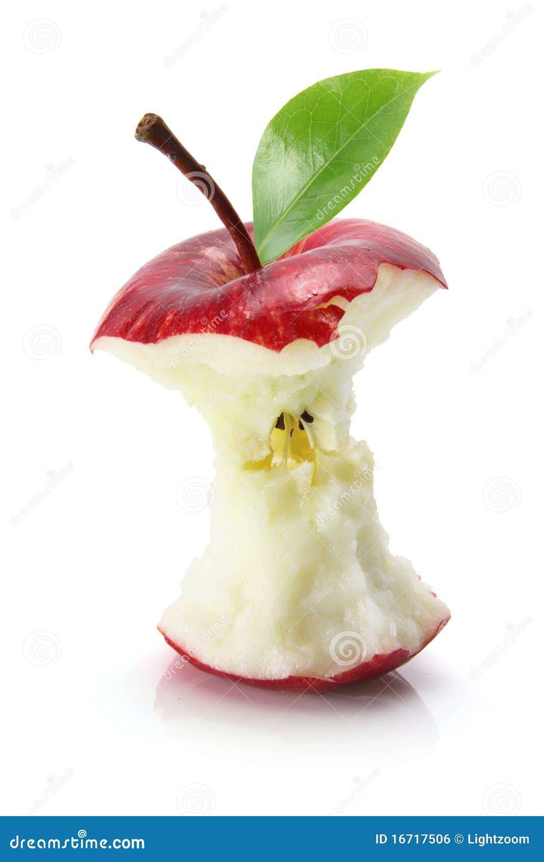 Red Delicious Apple stock photo. Image of fibre, vertical - 16717506