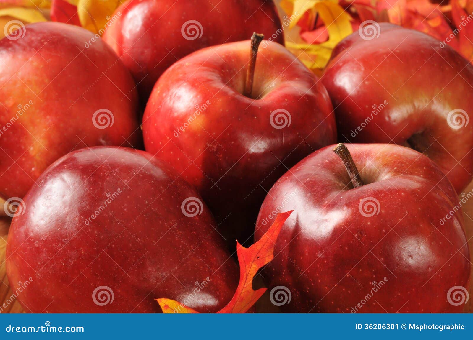Red delicious apples stock image. Image of horizontal - 36206301