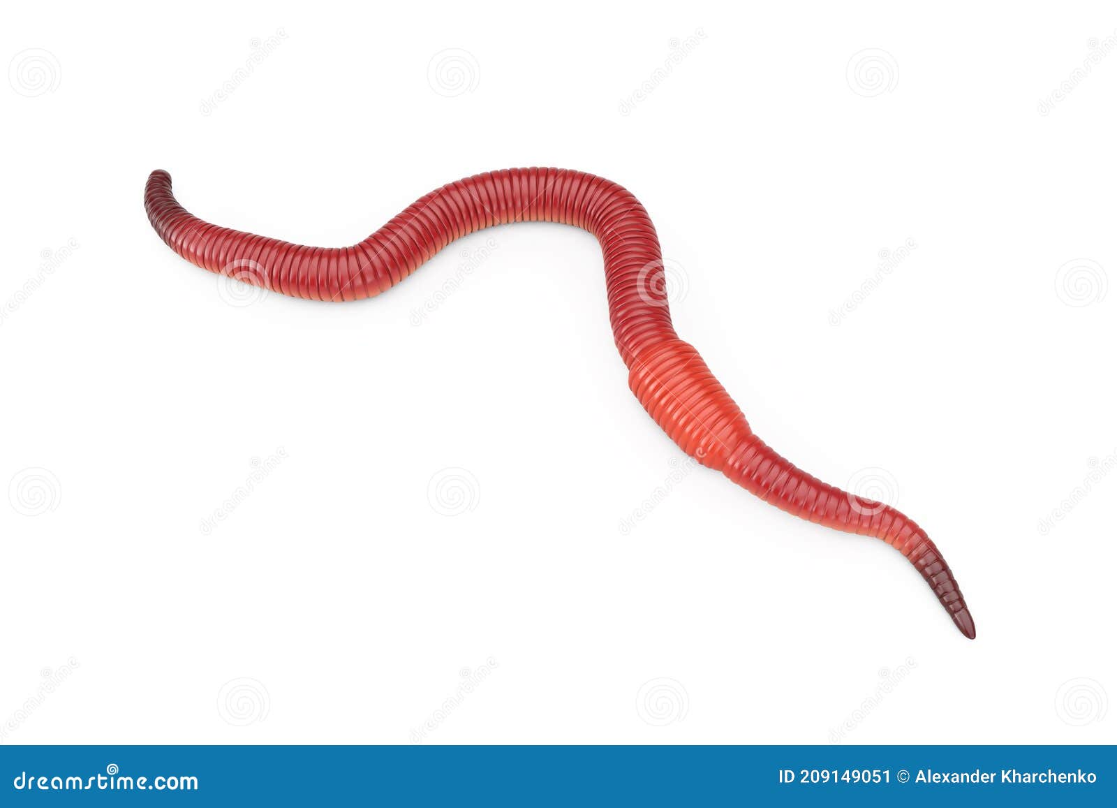 Earth Worm Set, Earthworms, Pink Segmented Soil Worms, Annelida Vector ...