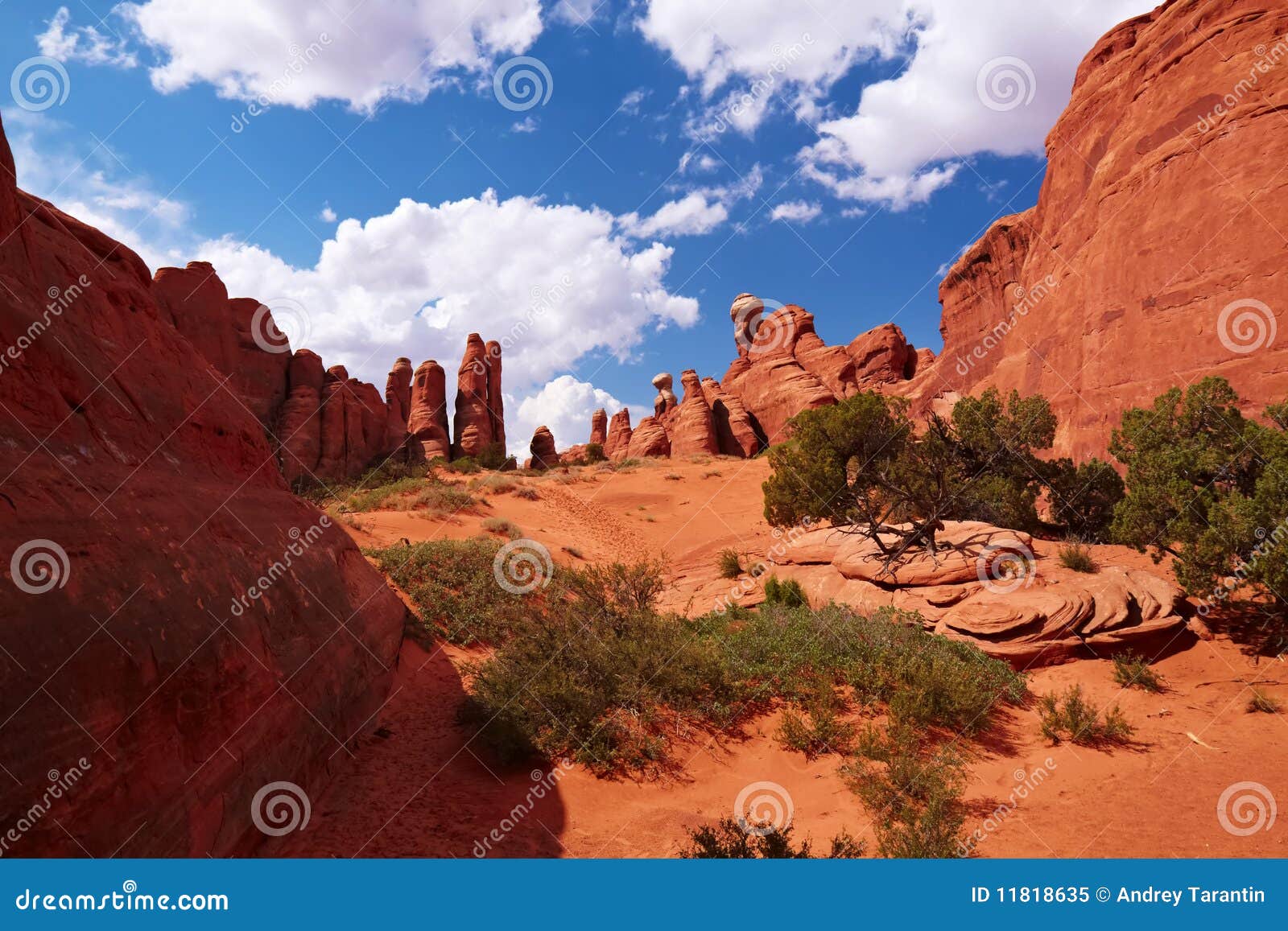 Red Desert stock image. Image of park, mountain, national - 11818635