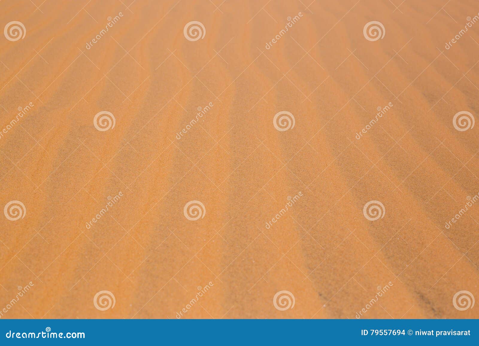 Red Desert Sand Dunes Texture Pattern Stock Photo - Image of coast ...
