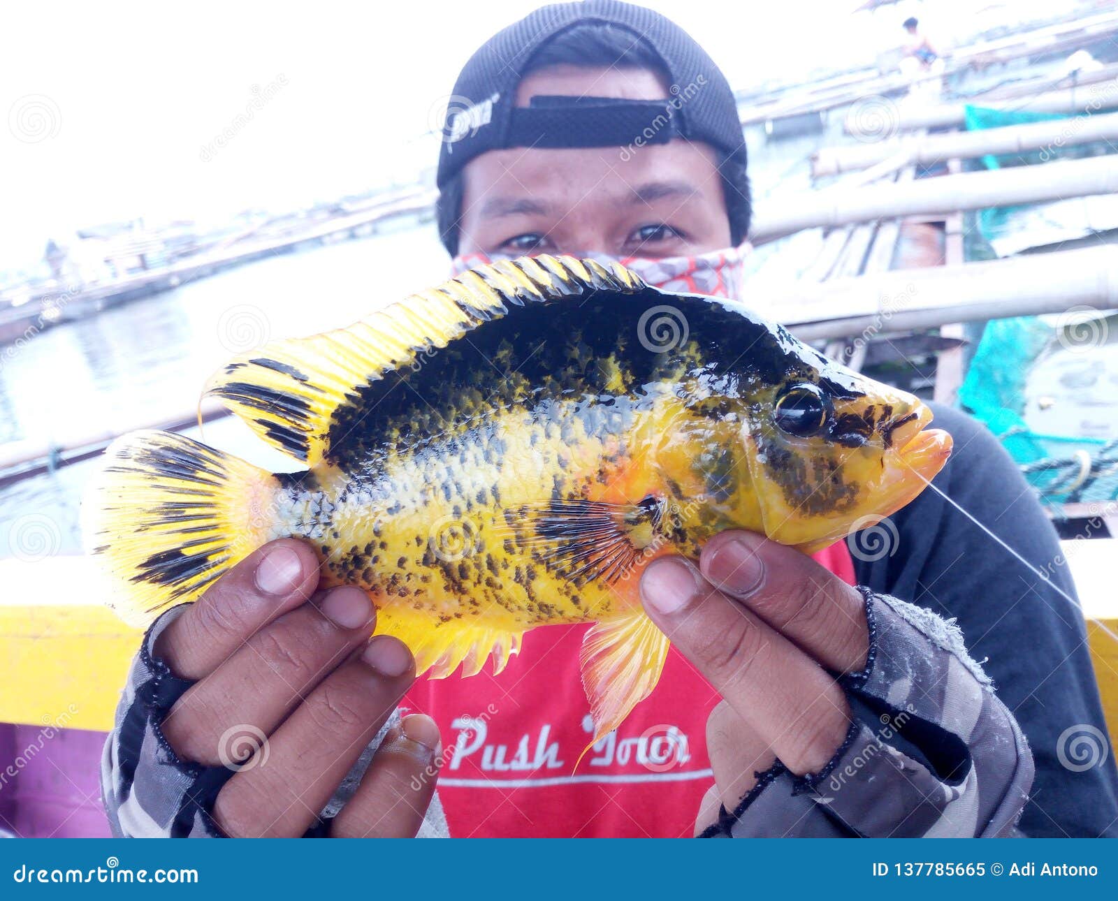 Red Devil Fishing editorial image. Image of colour, fishing - 137785665