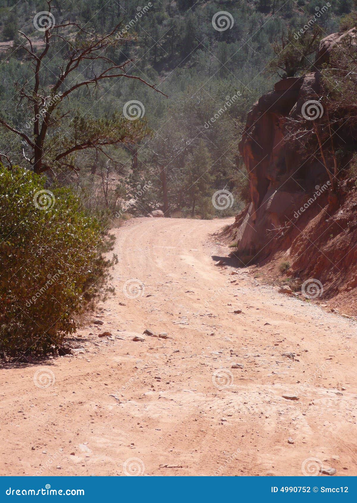 Red Dirt Road stock photo. Image of winding, vegetation - 4990752