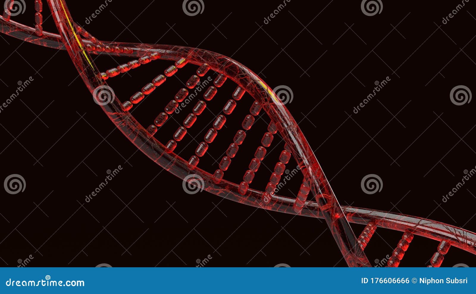 Red Dna 3d Rendering on Black Background for Science Content Stock ...