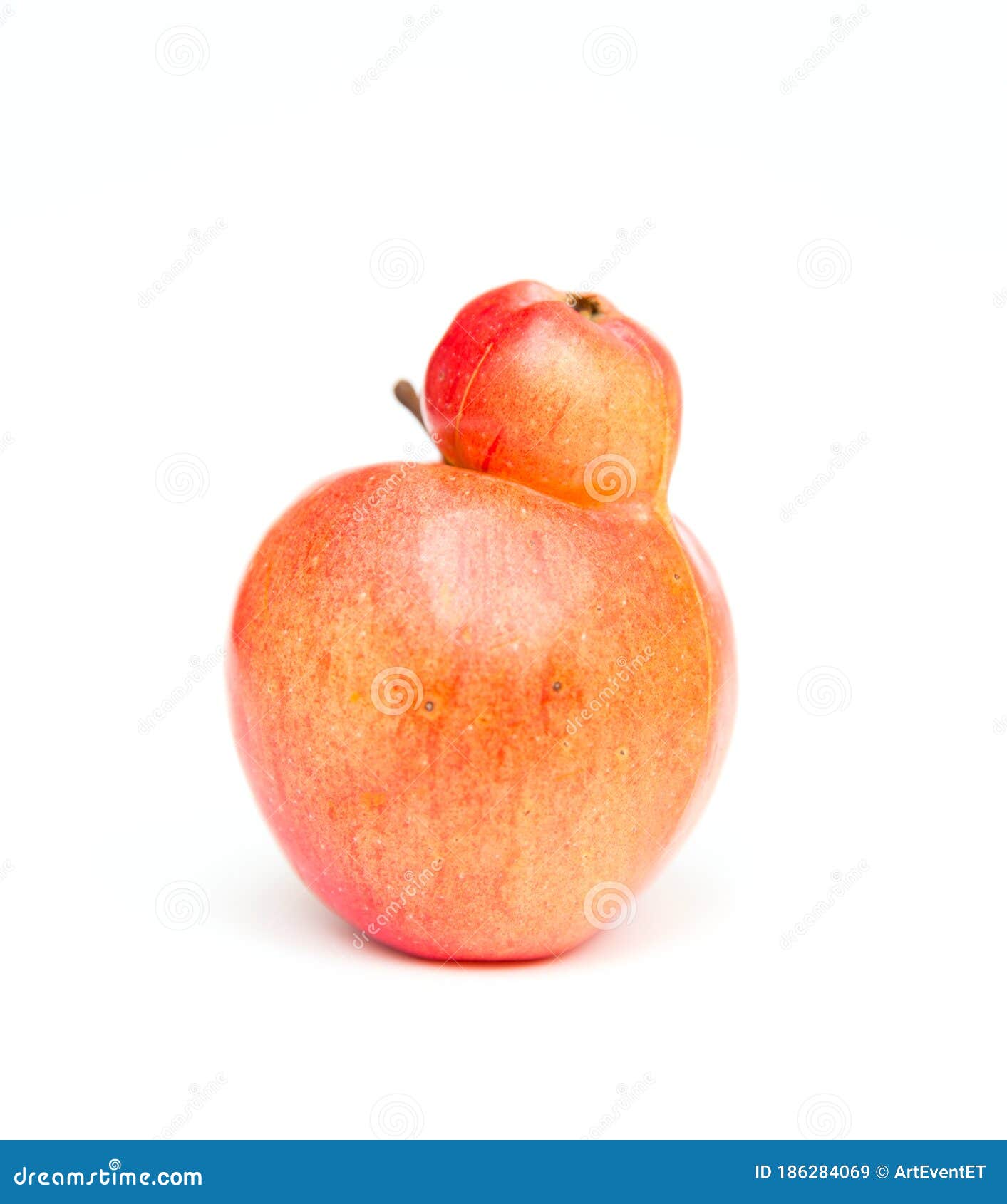 Red double Conjoined apple stock image. Image of health - 186284069