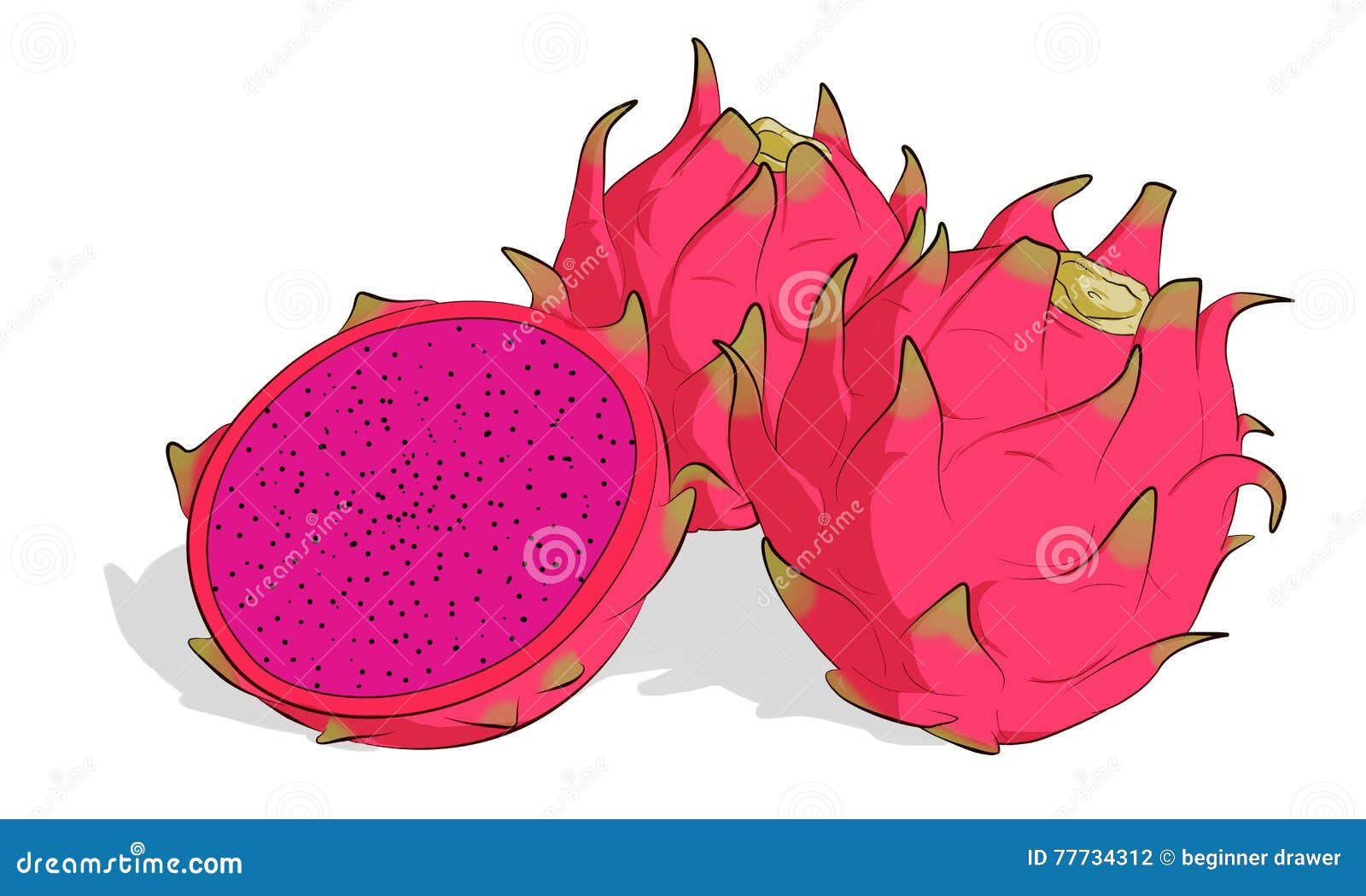 Red Dragon Fruit Stock Illustrations – 976 Red Dragon Fruit Stock ...
