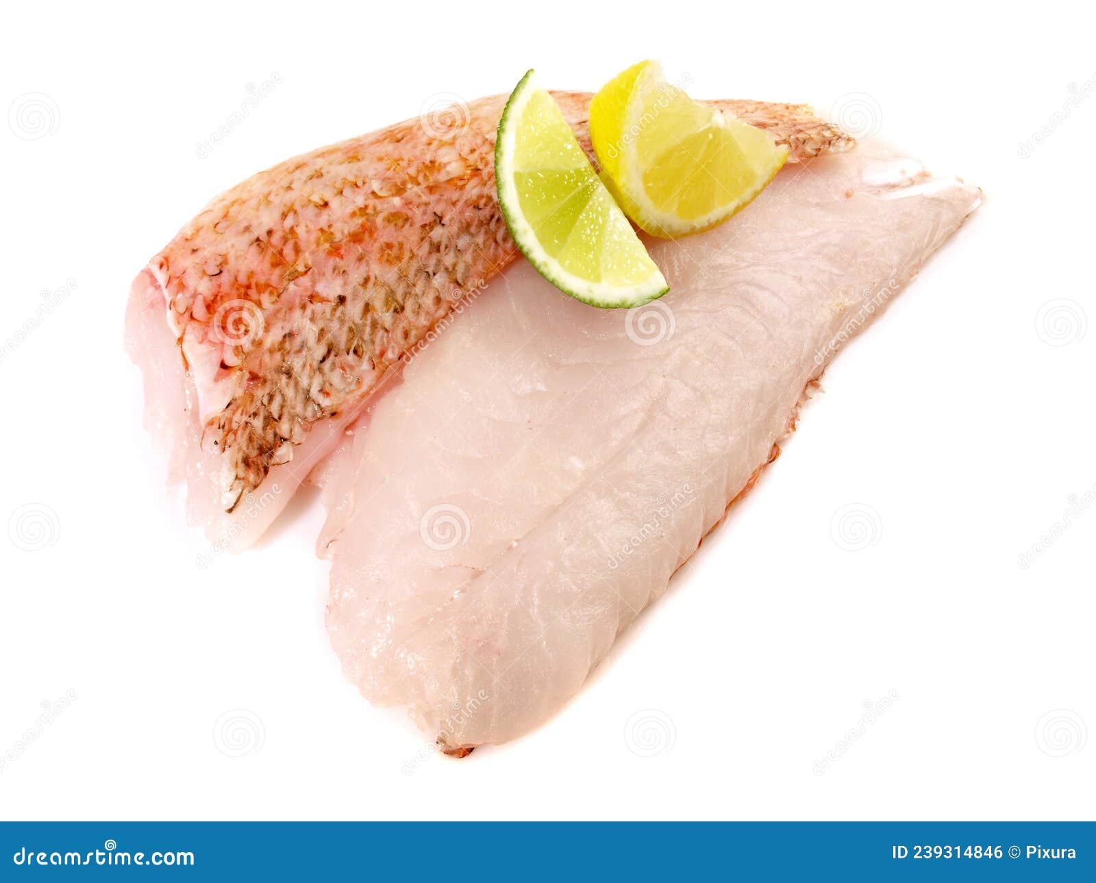 Red Dragon Head Fish Fillet Isolated on White Background Stock Photo ...