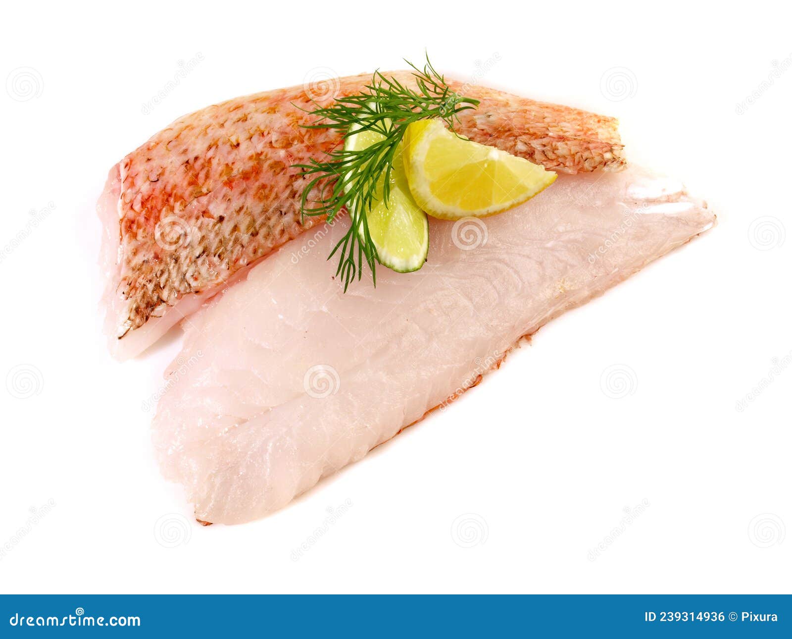 Red Dragon Head Fish Fillet Isolated on White Background Stock Photo ...