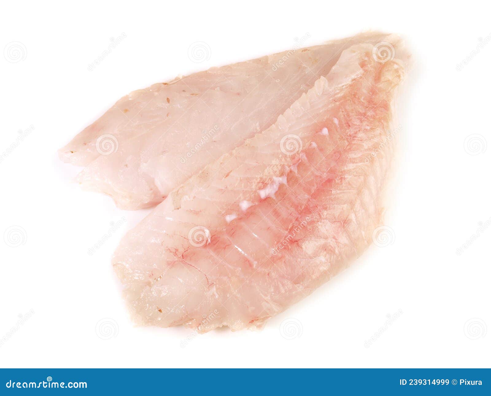 Red Dragon Head Fish Fillet Isolated on White Background Stock Image ...