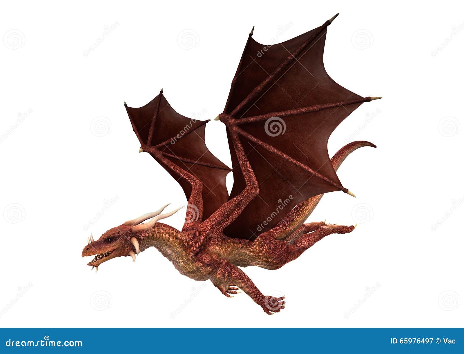 Flying Dragon, Draco Spp. Tangkoko Reserve, North Sulawesi Stock Image ...