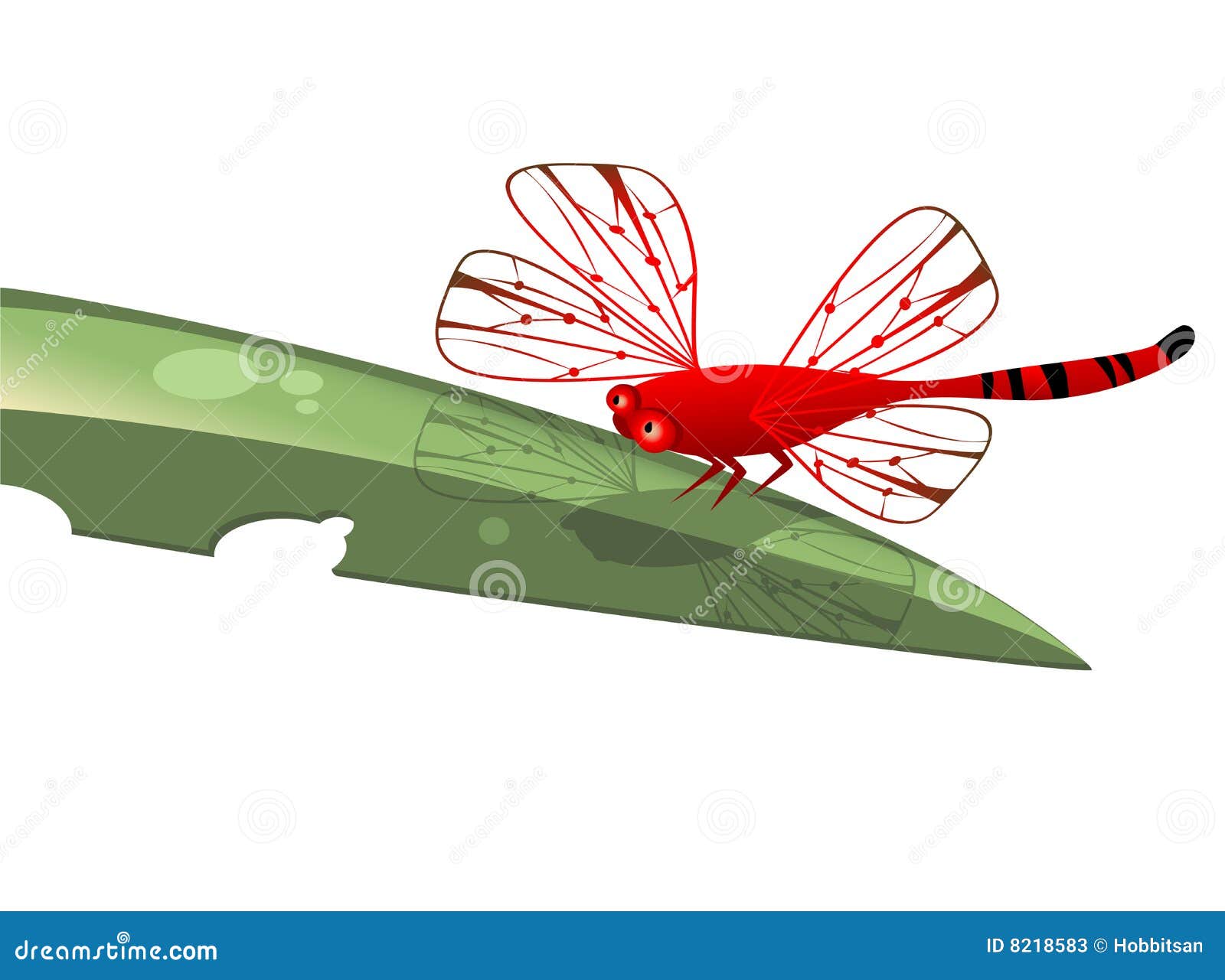 Red dragonfly stock vector. Illustration of elegance, environment - 8218583
