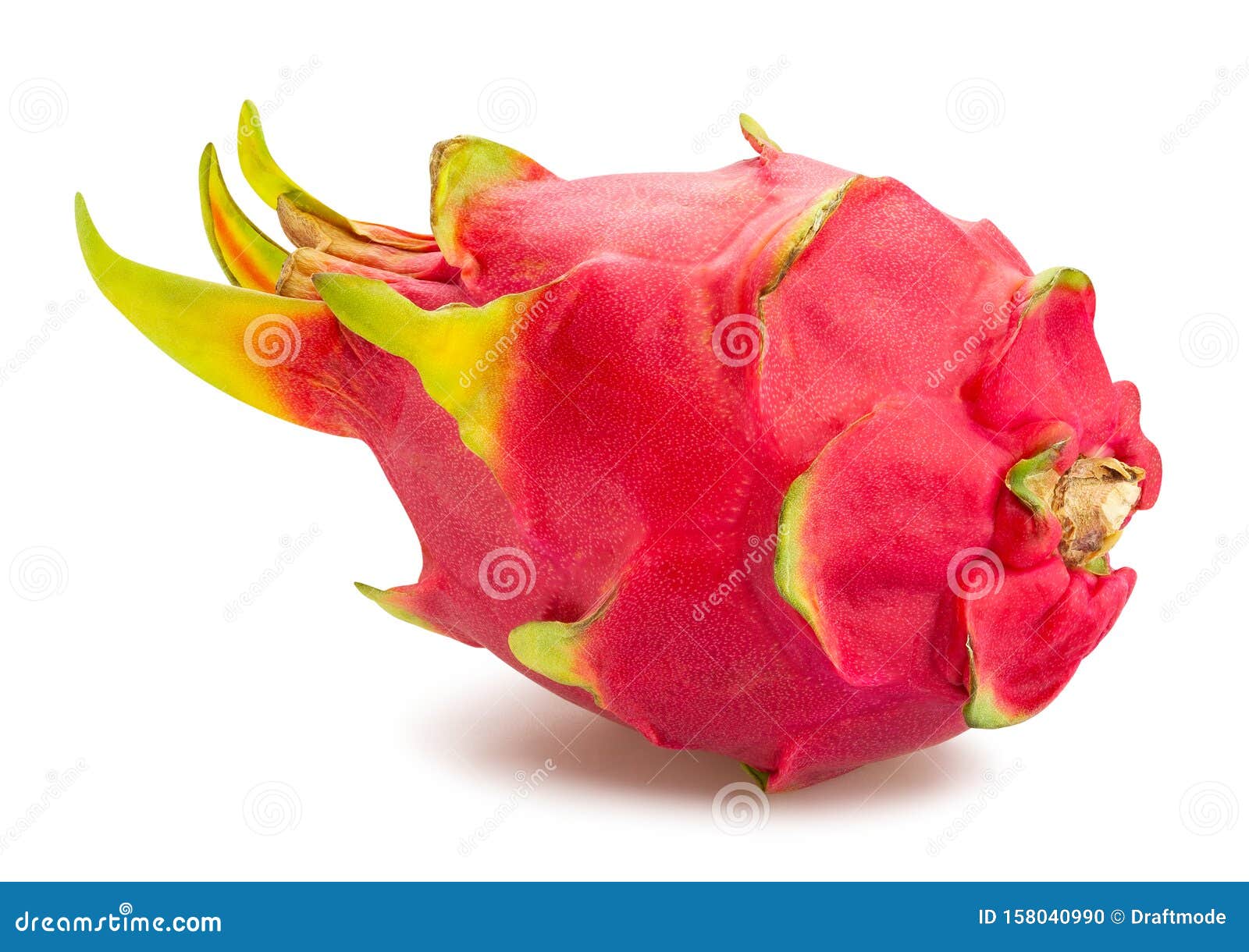 Red dragonfruit pitahaya stock photo. Image of dragonfruit - 158040990