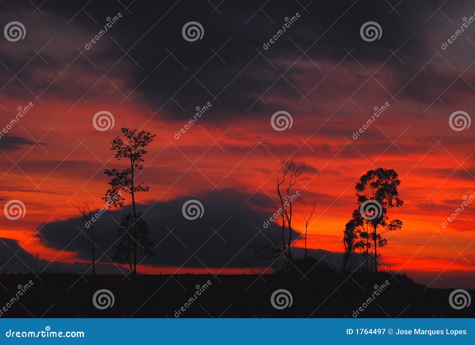 Red dream stock image. Image of sunrise, landscape, sunset - 1764497