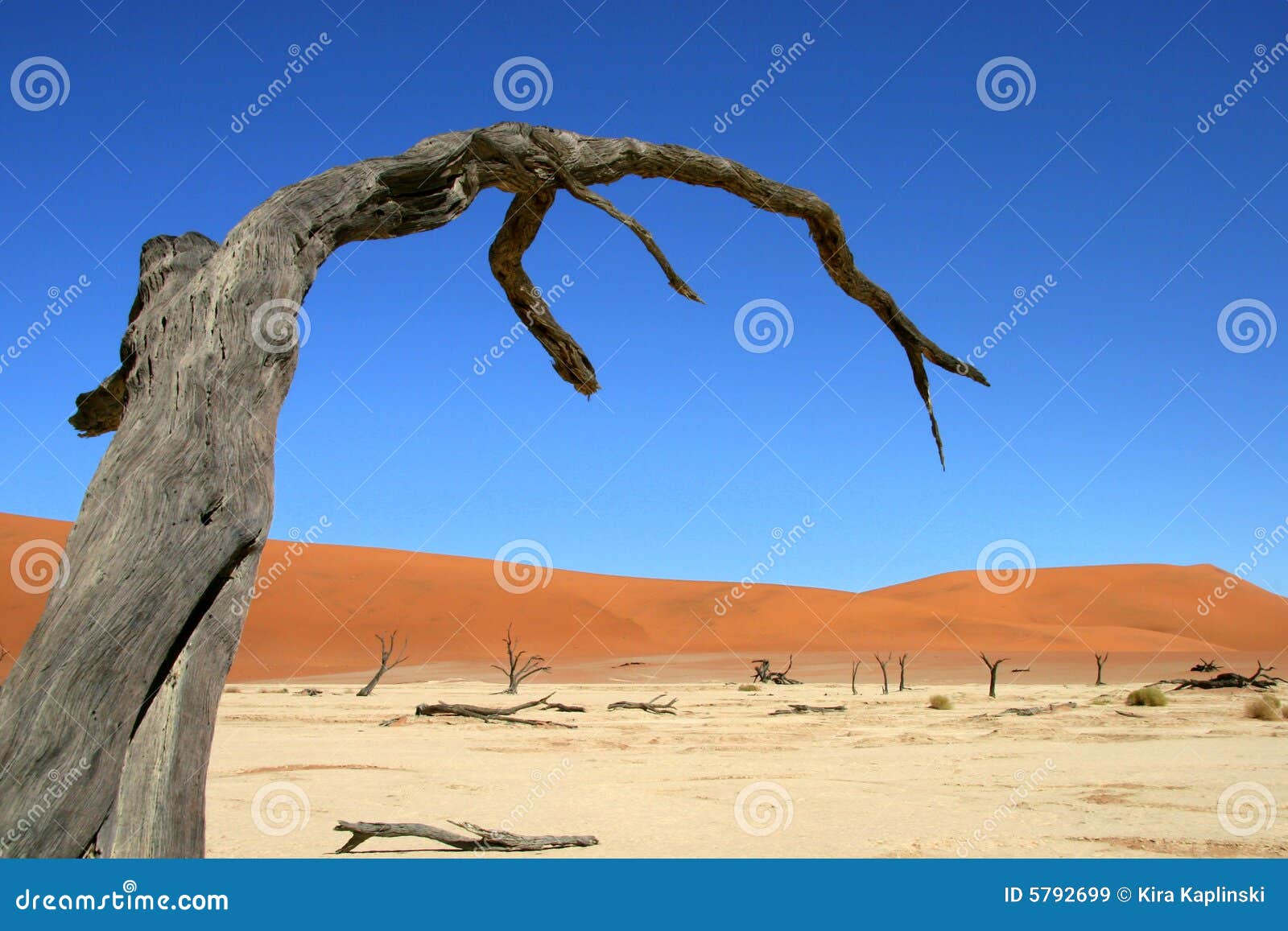 Red Dream stock image. Image of namibia, cloudless, namib - 5792699