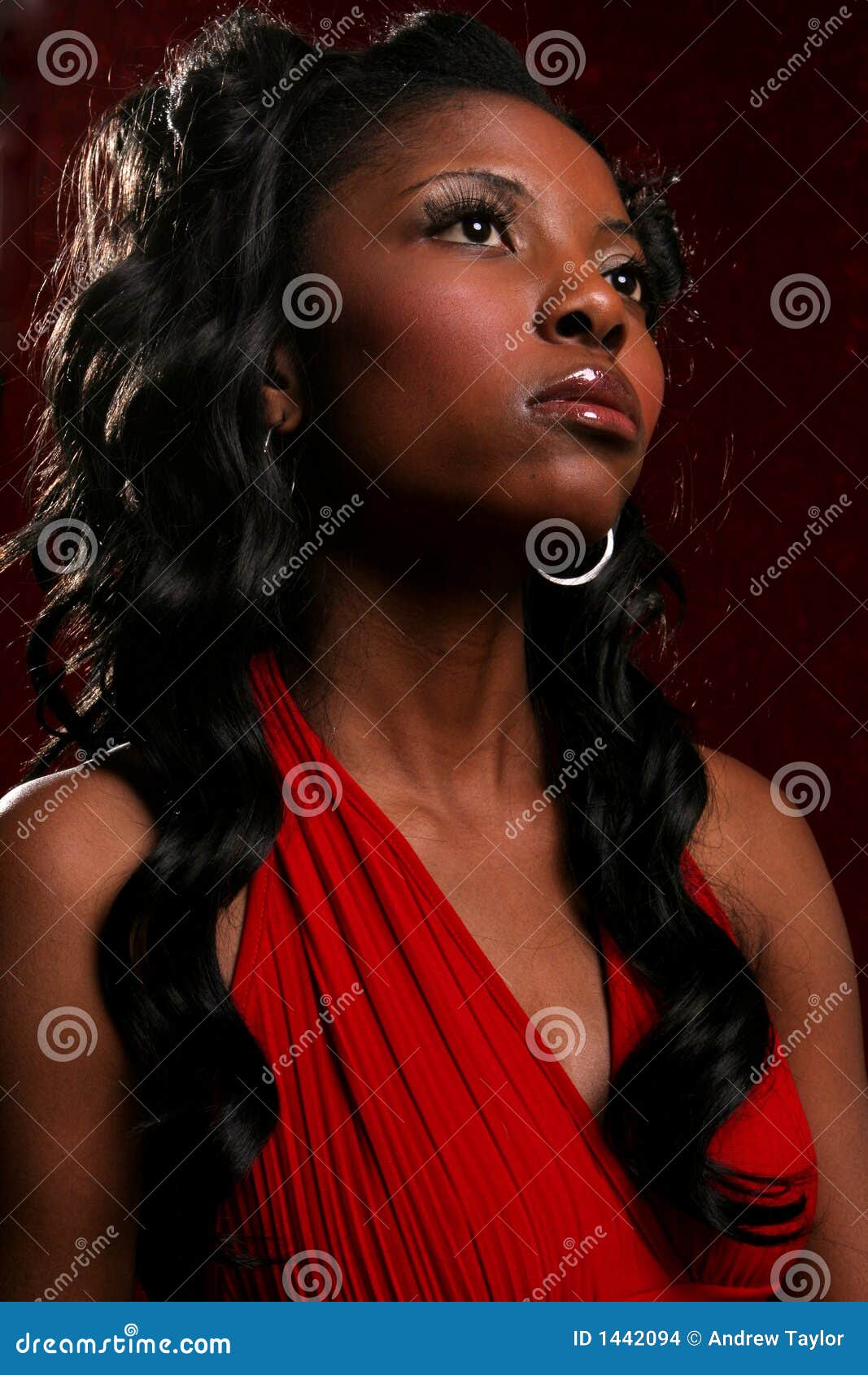 Red Dressed Confident Model Stock Photo - Image of girl, feminine: 1442094