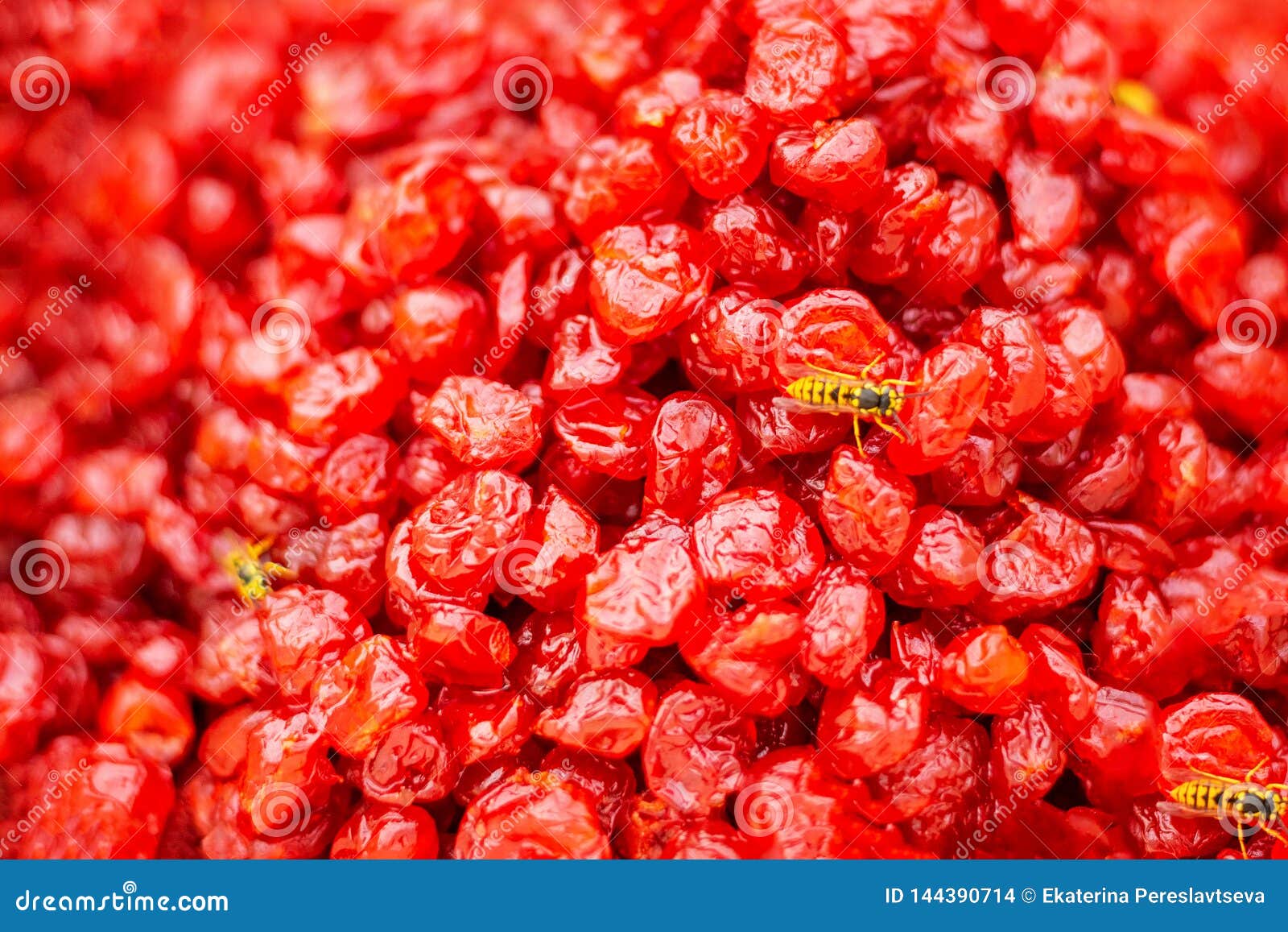 Red Dried Cherries, Oriental Sweetness Stock Photo - Image of dried ...