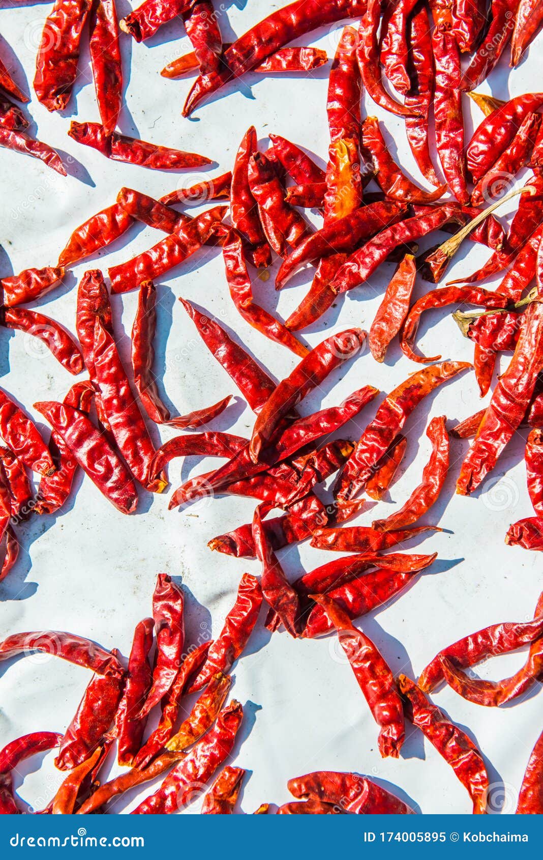 Red Dried Chilli on White Background Stock Image - Image of cooking ...