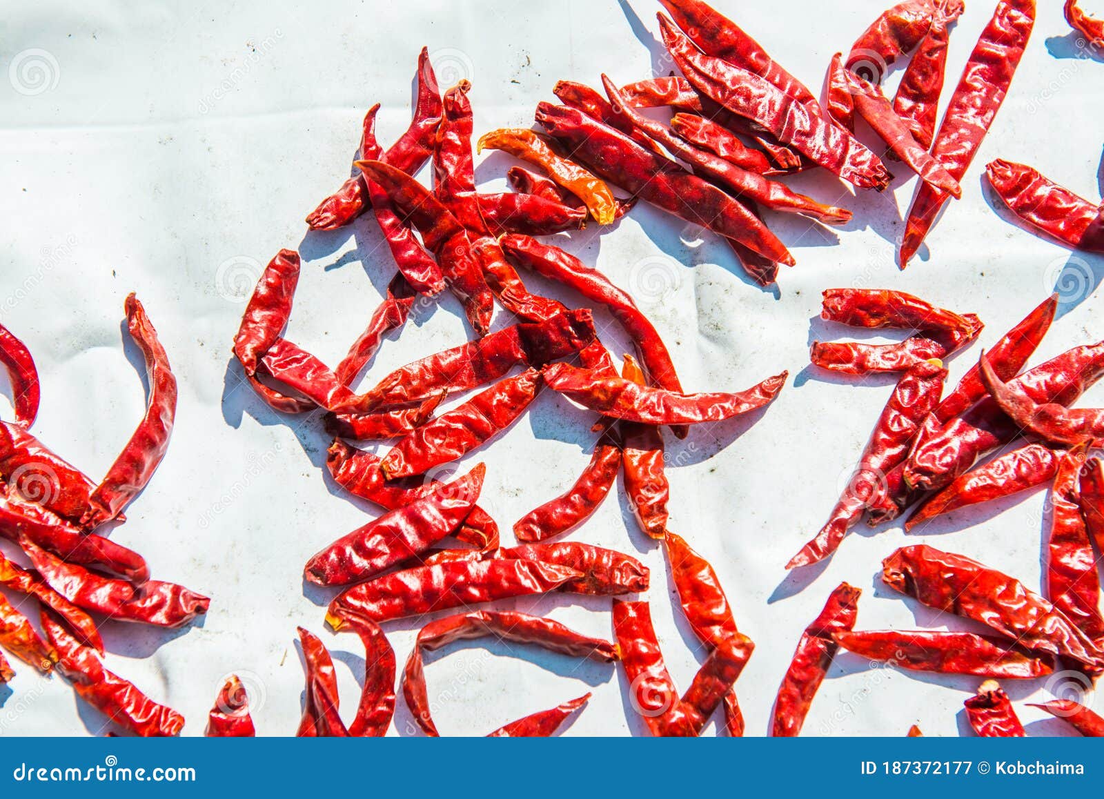 Red Dried Chilli on White Background Stock Image - Image of cook, spicy ...