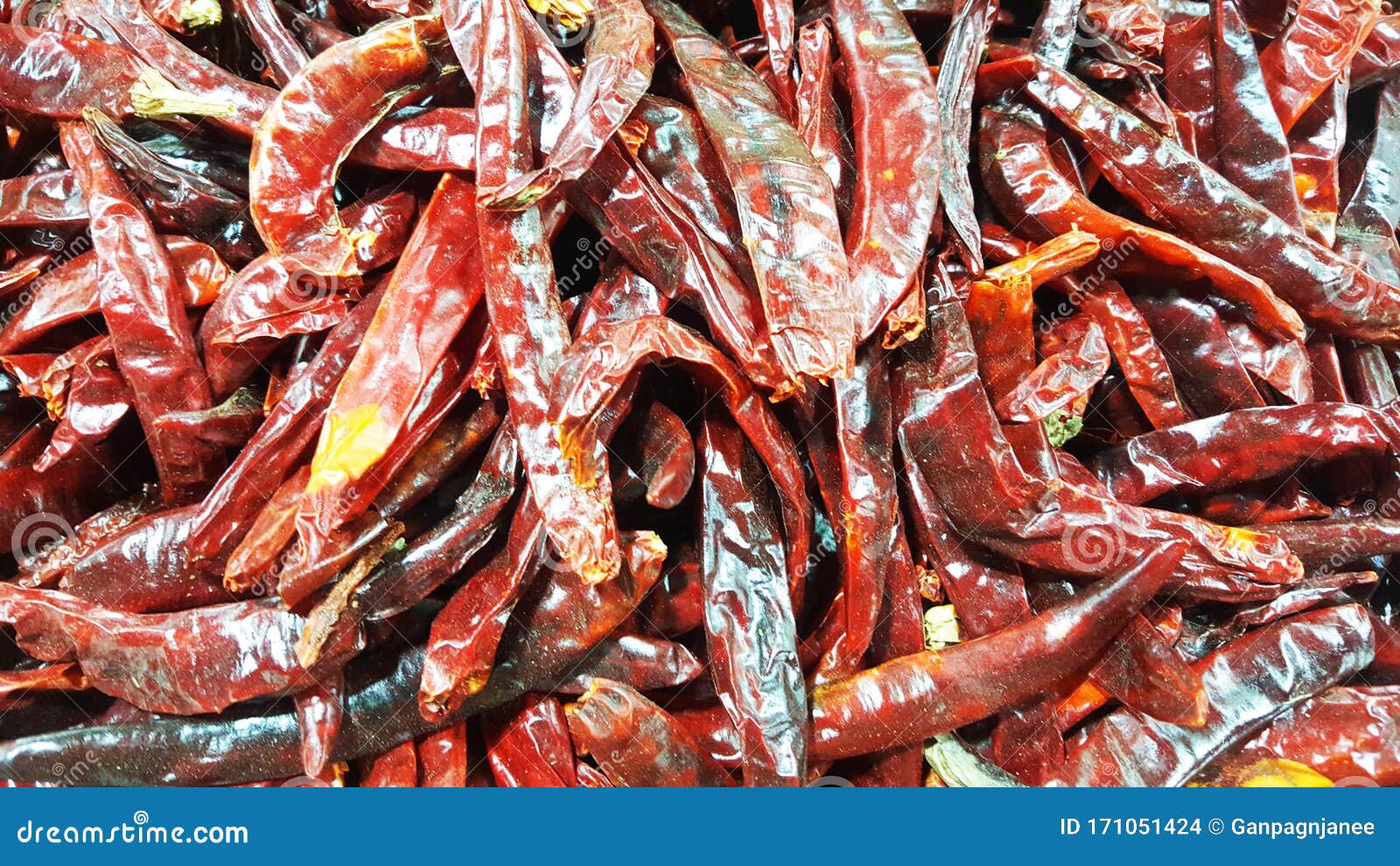 Red Dried Chillies Background. Spices Stock Photo - Image of color ...