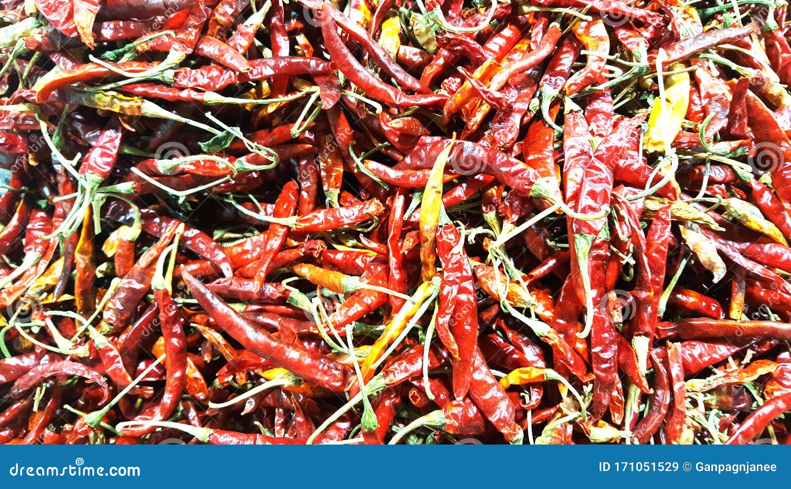 Red Dried Chillies Background. Spices Stock Image - Image of food ...
