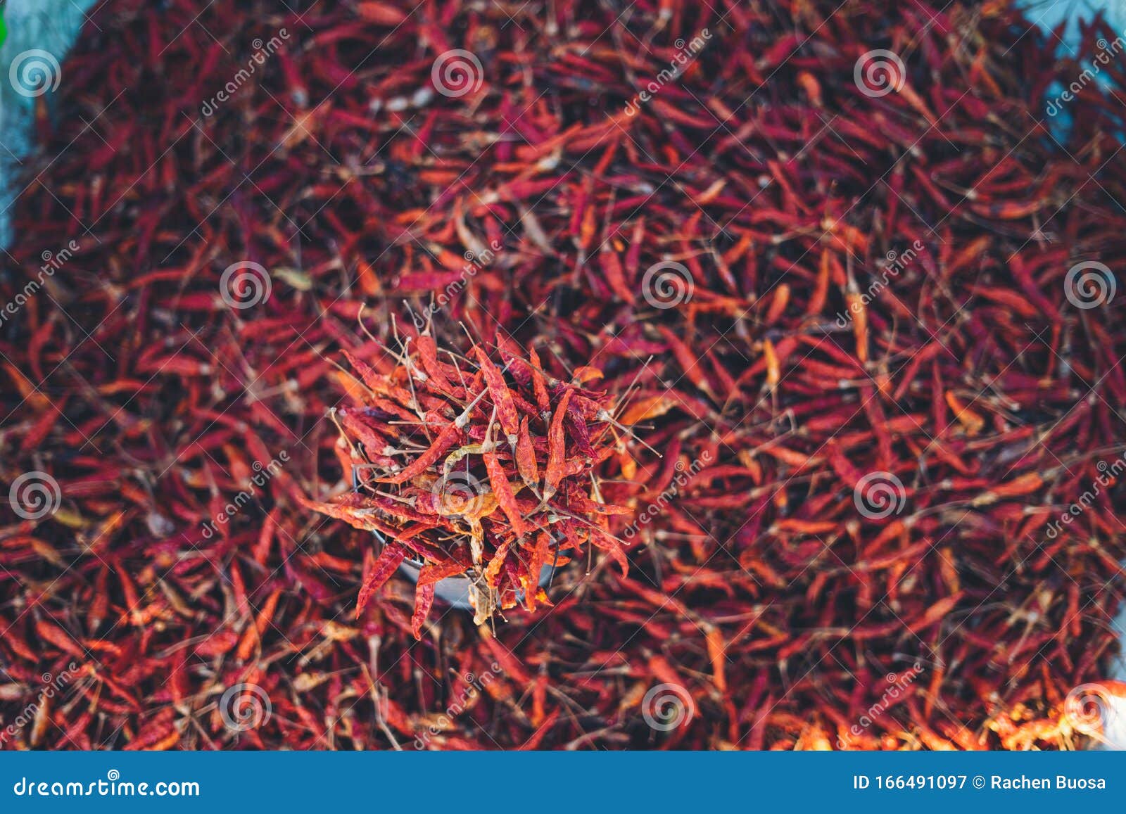 Red Dried Chillies in the Fresh Market Stock Image - Image of yummy ...