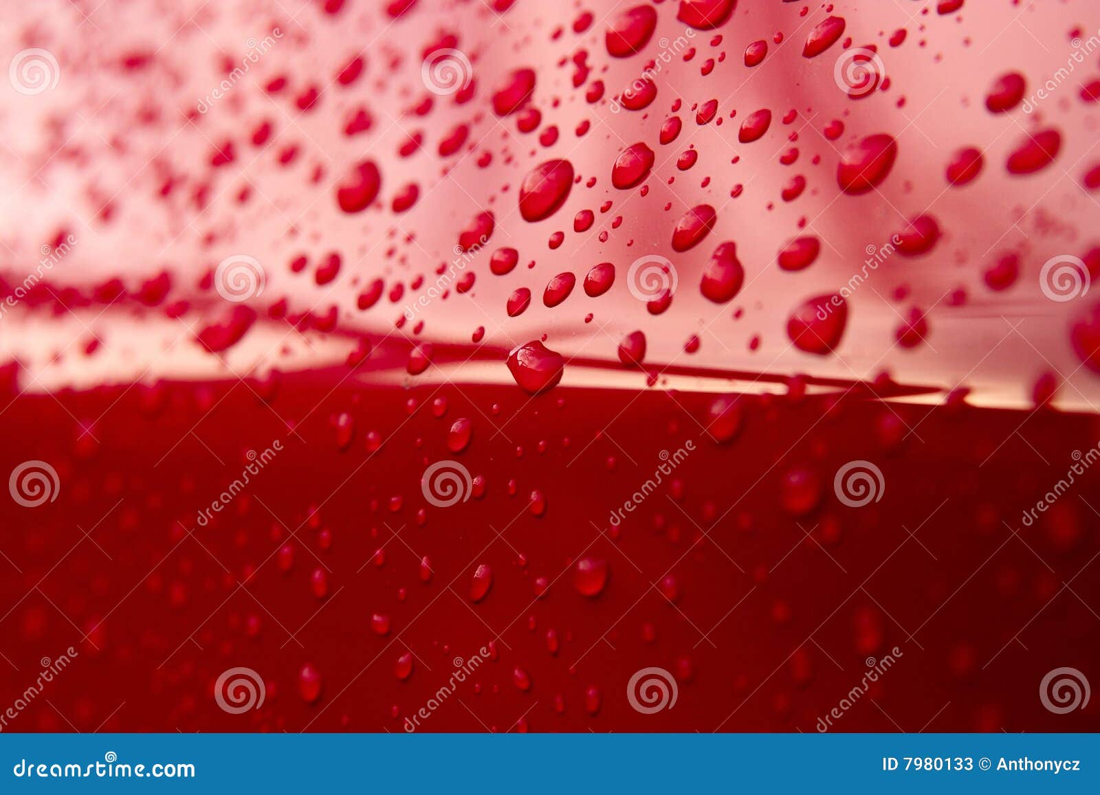 Red drops of water stock image. Image of reflection, clean - 7980133