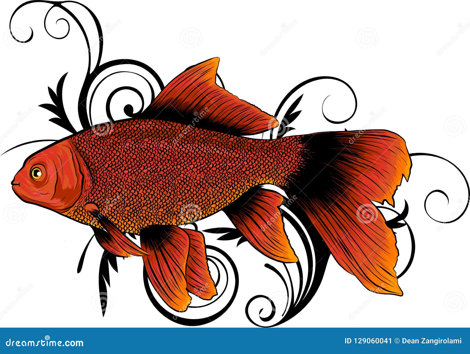 Red Drum, Redfish. Vector Illustration with Refined Details Stock ...