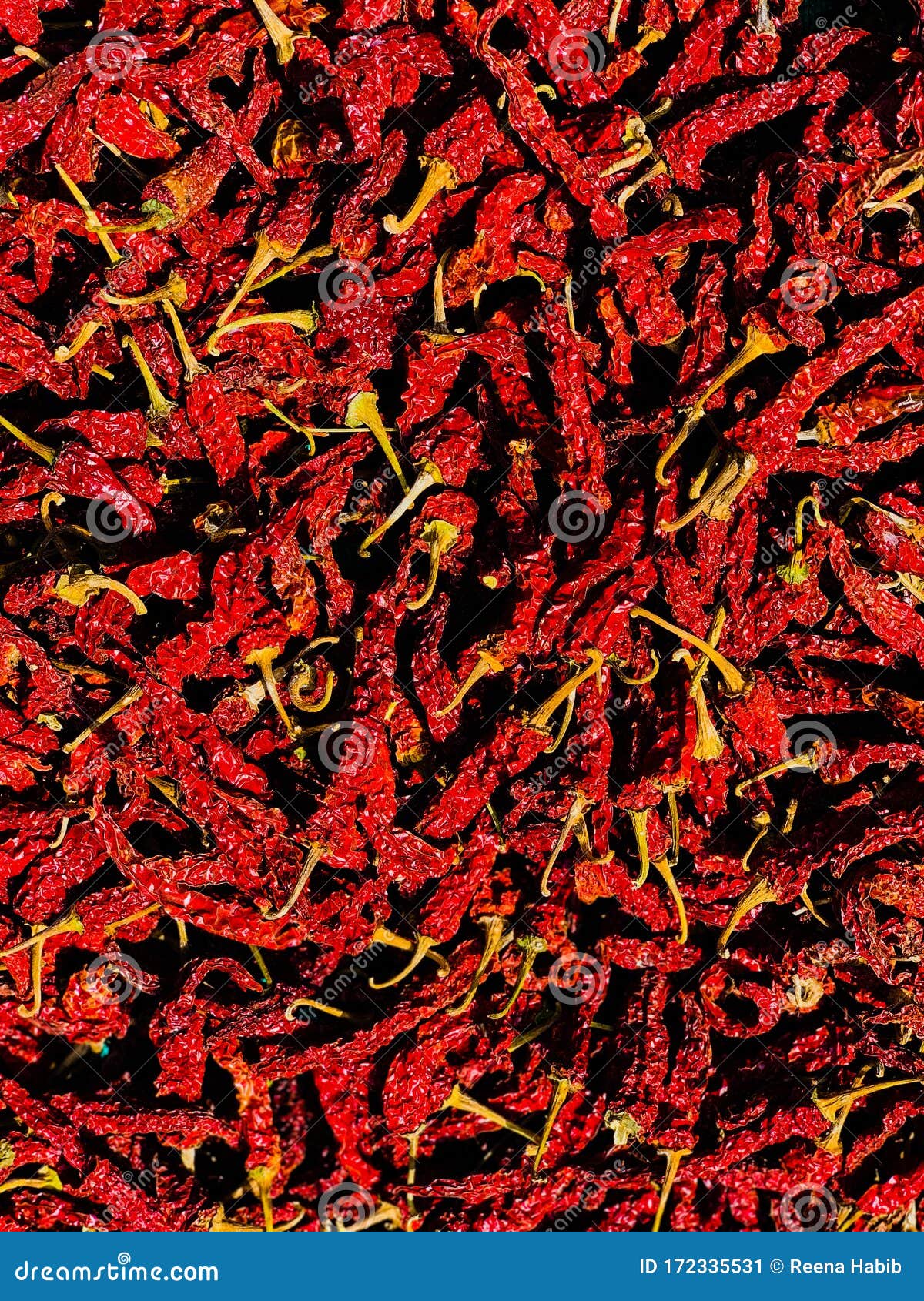 Spice Red Dry Chilli Background in Kitchen Stock Image - Image of ...