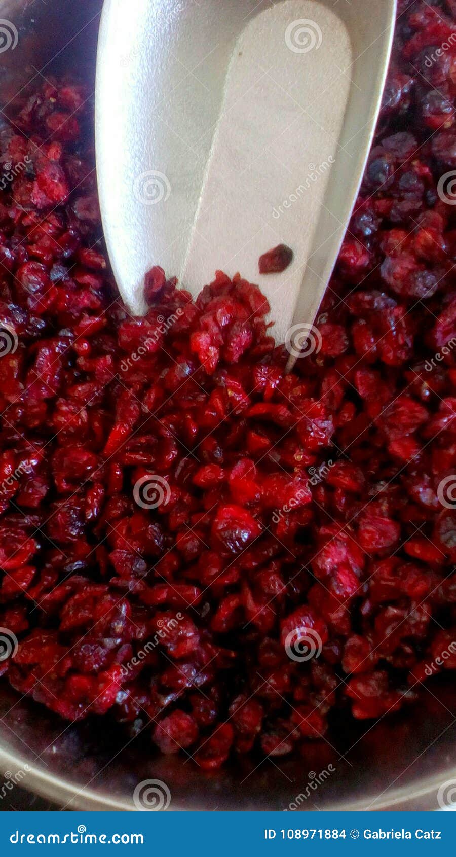 Food stock photo. Image of food, diet, group, healthy - 108971884