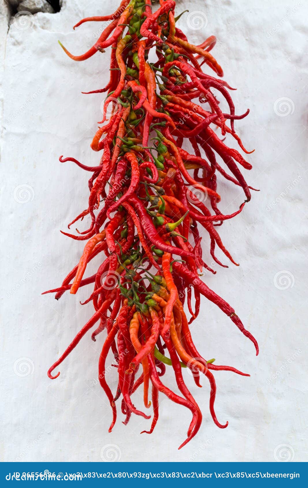 Red Dry Peppers Hanging on the Wall Stock Photo - Image of detail ...