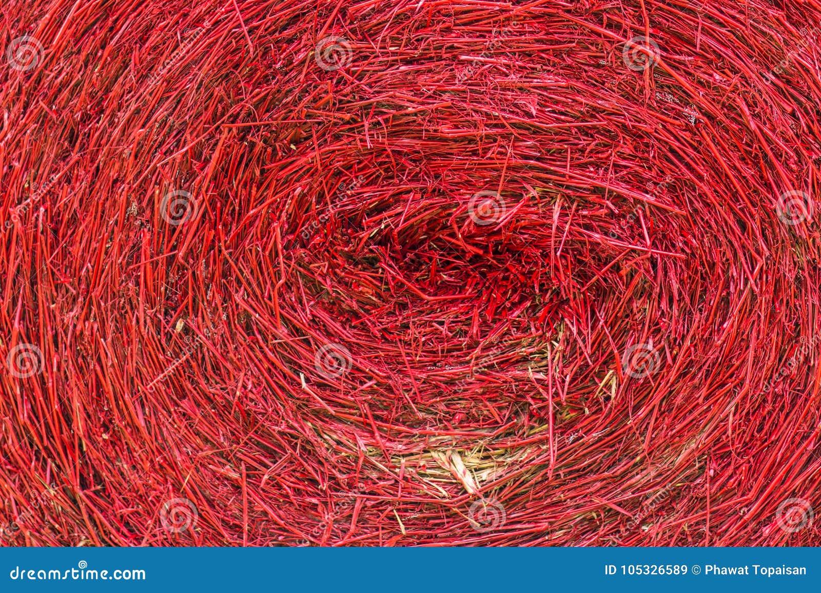 Red Dry Straw, Dry Straw Rolls, Straw Background Texture. Stock Image ...