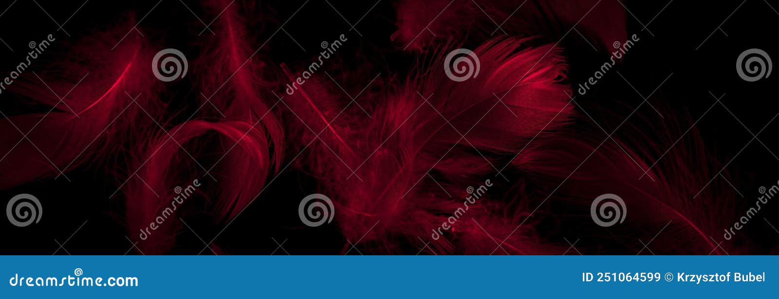 Red Duck Feathers on a Black Isolated Background Stock Image - Image of ...