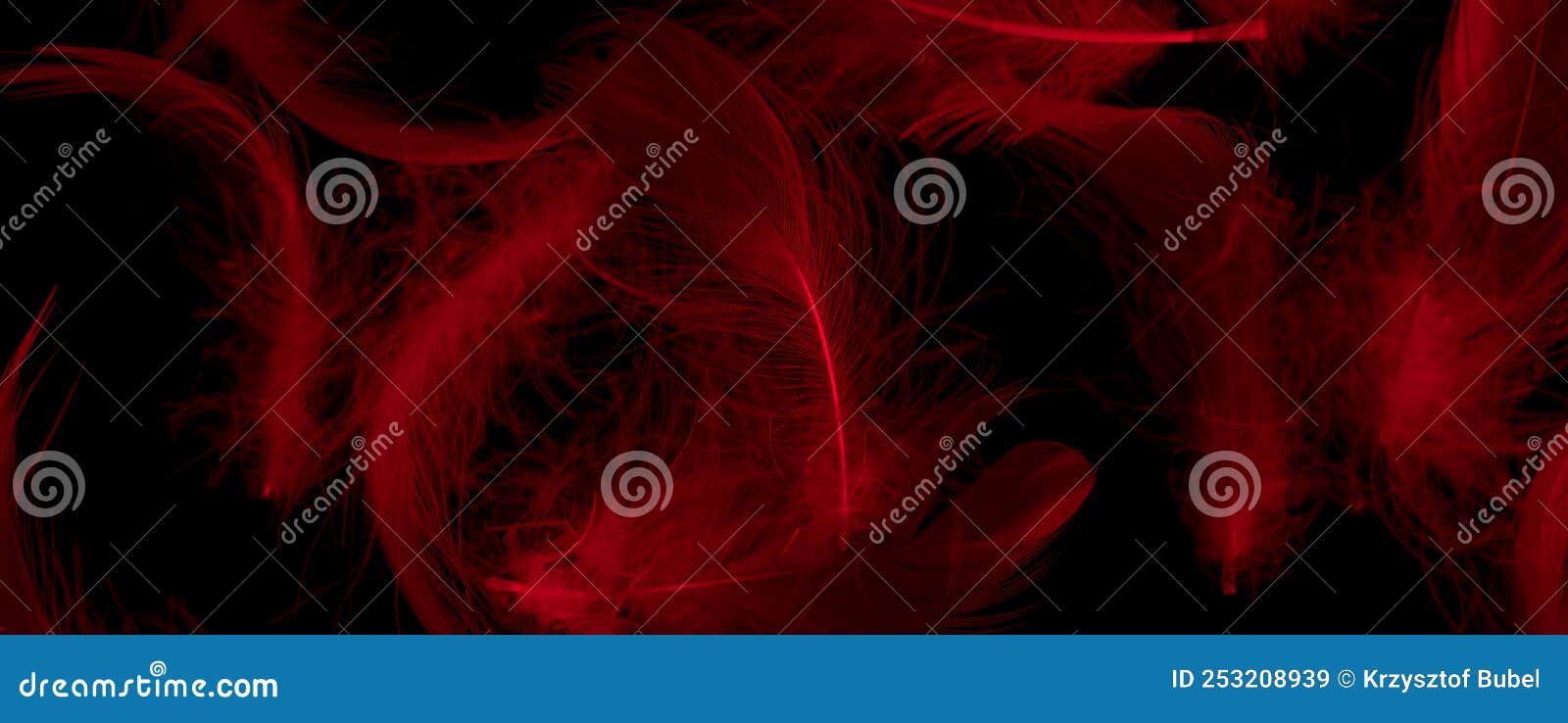 Red Duck Feathers on a Black Isolated Background Stock Image - Image of ...
