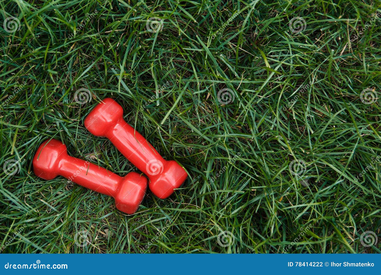 Red dumbbell stock photo. Image of nature, fitness, dumbbell - 78414222