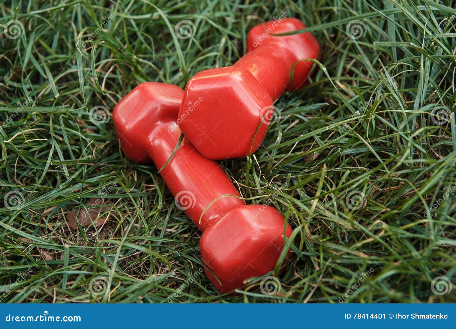 Red dumbbell stock image. Image of equipment, lifestyle - 78414401