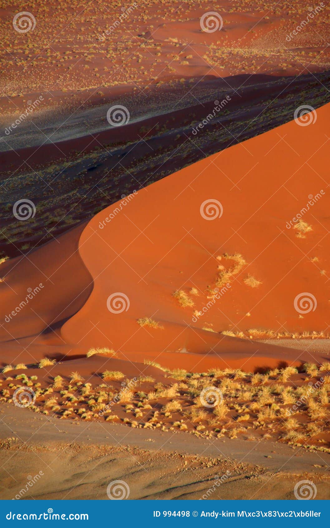 Red Dune in the Namib Desert Stock Photo - Image of shape, nature: 994498
