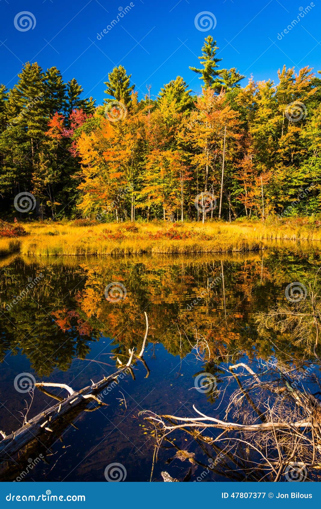 Red Eagle Pond, in White Mountain National Forest, New Hampshire Stock ...