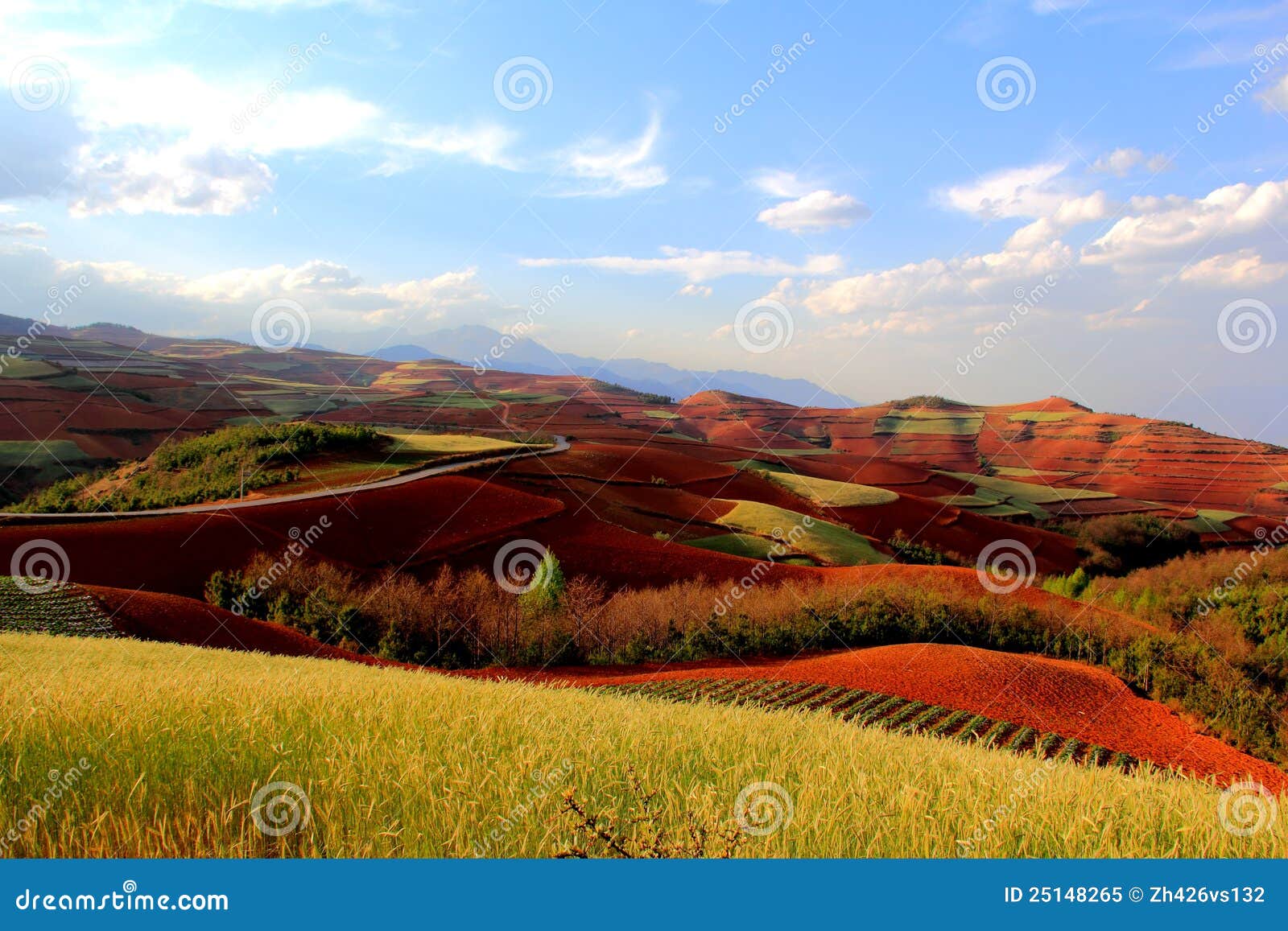 Red earth stock image. Image of grain, wonder, vegetation - 25148265