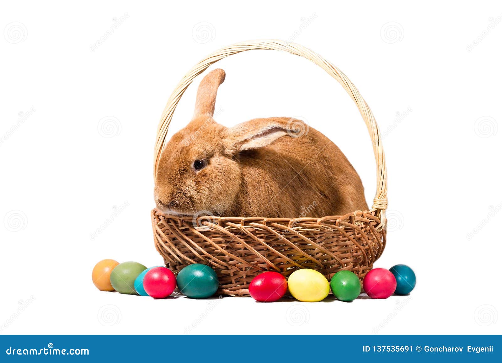 Red Easter Bunny in a Basket with Eggs, Isolate Stock Image - Image of ...