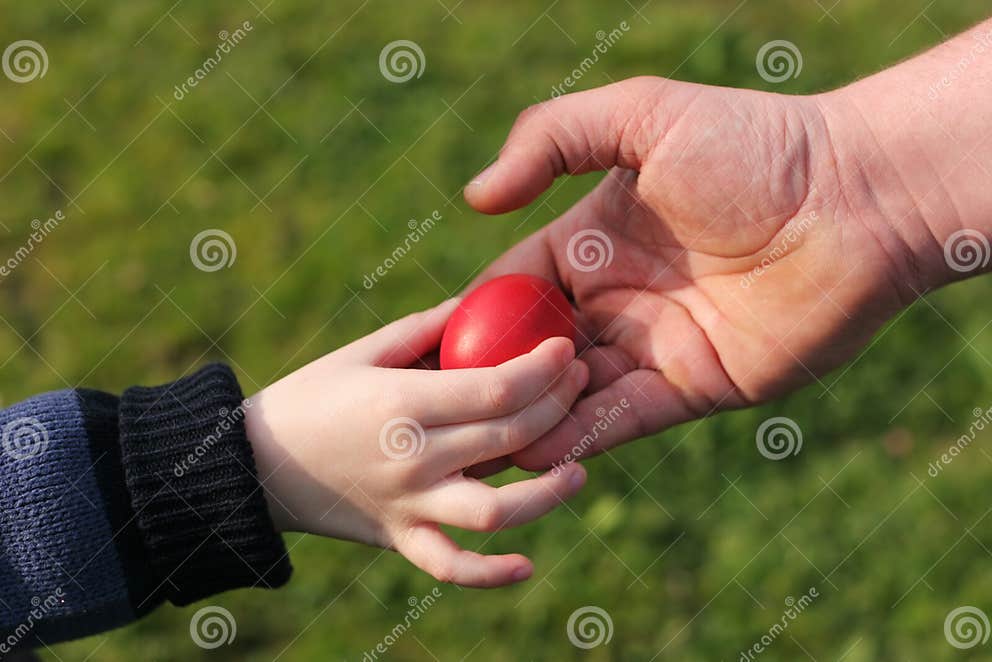 Red easter egg for dad stock photo. Image of painted, generous - 2286634