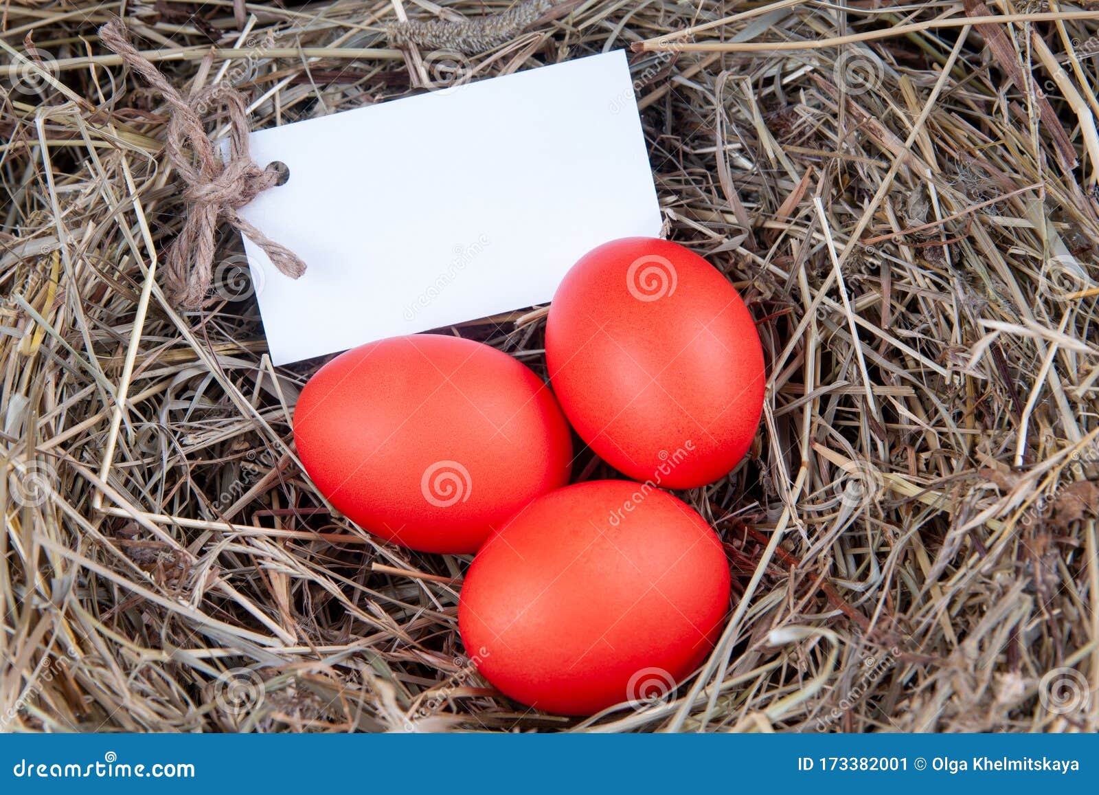 Red Eggs with a Note in the Hay. Mock Up, Concept Easter Stock Image ...