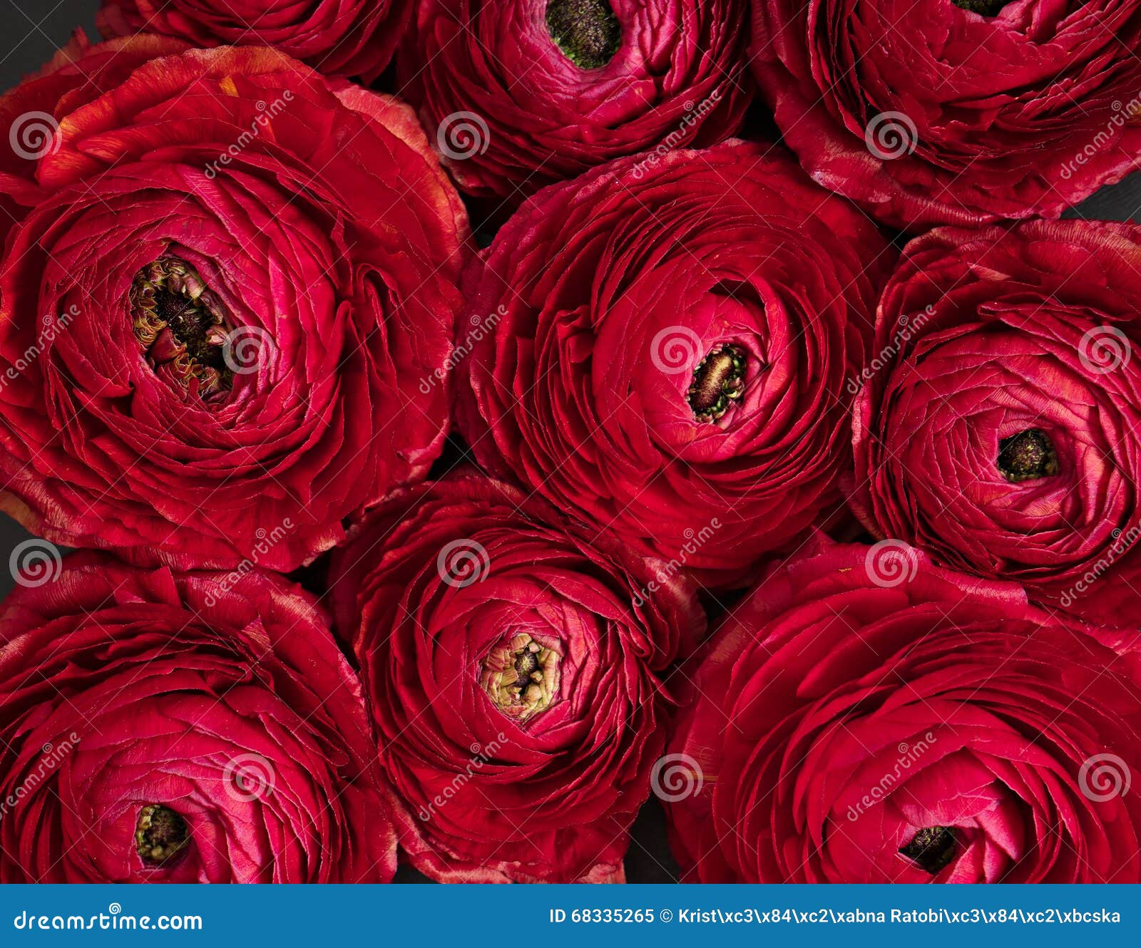 Red Elegant Flowers at Black Table Stock Image - Image of view ...