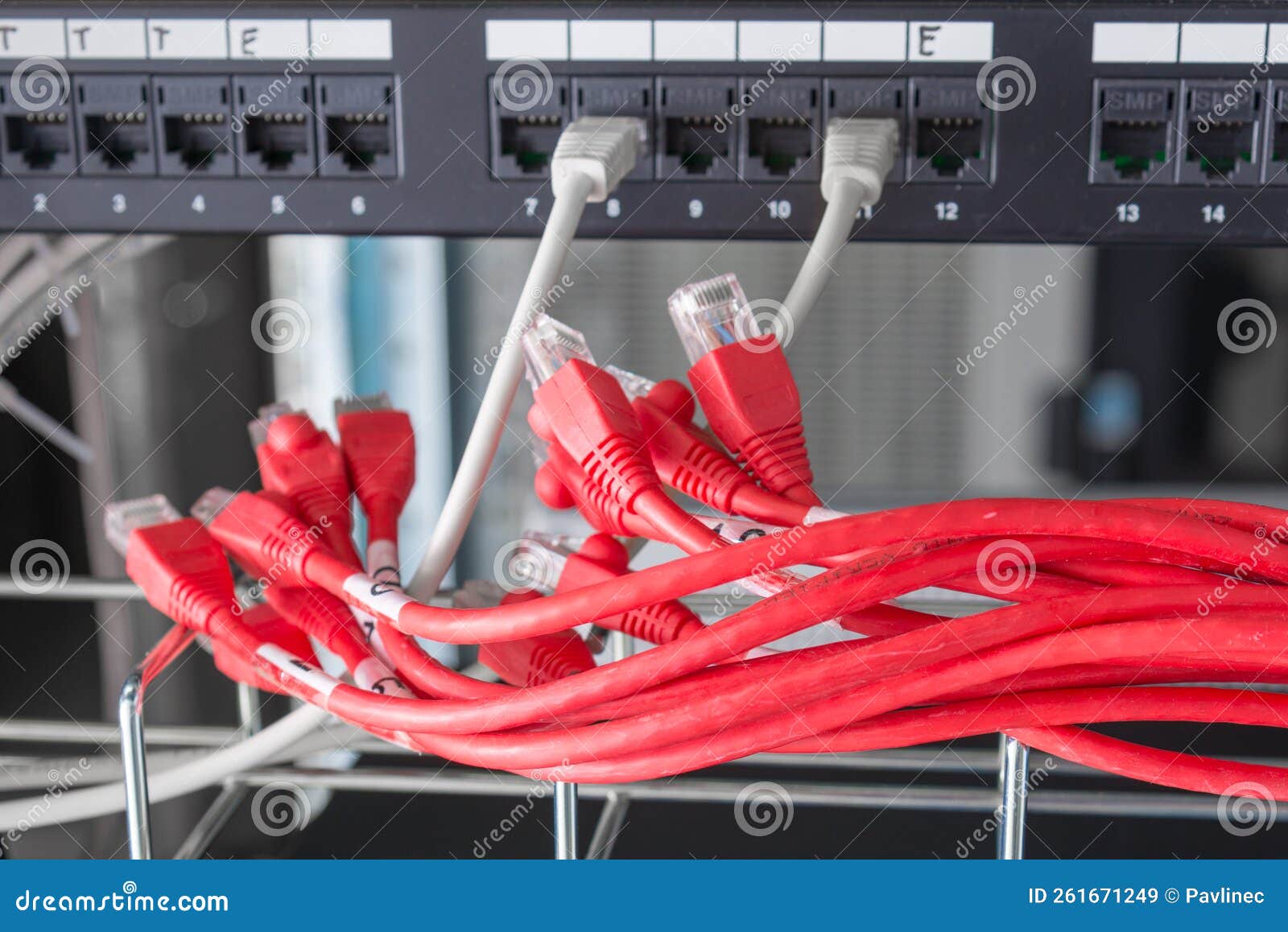Red Ethernet Cables Connected To Switch Stock Image - Image of ...