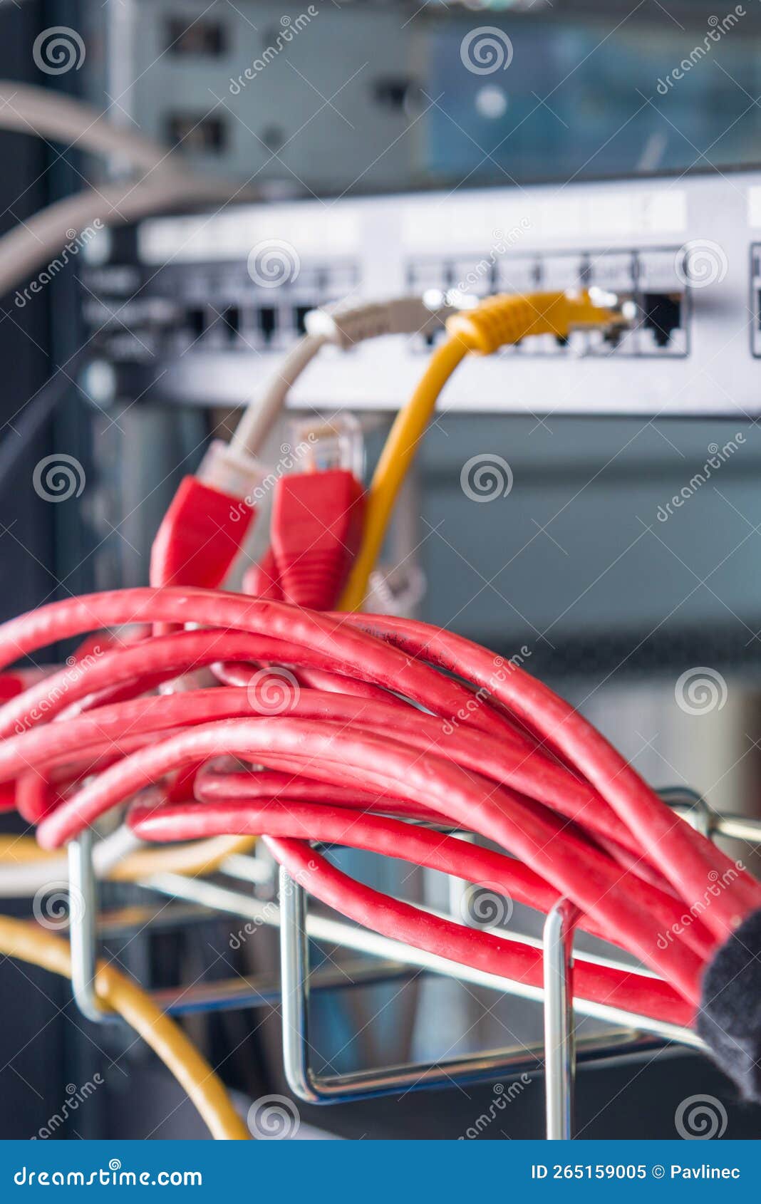 Red Ethernet Cables Connected To Switch Stock Image - Image of patch ...