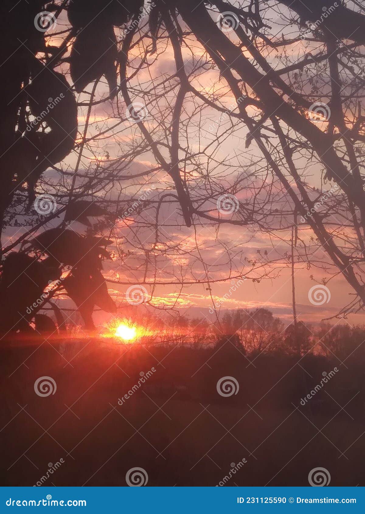 Red Eve sunset stock photo. Image of reflection, evening - 231125590